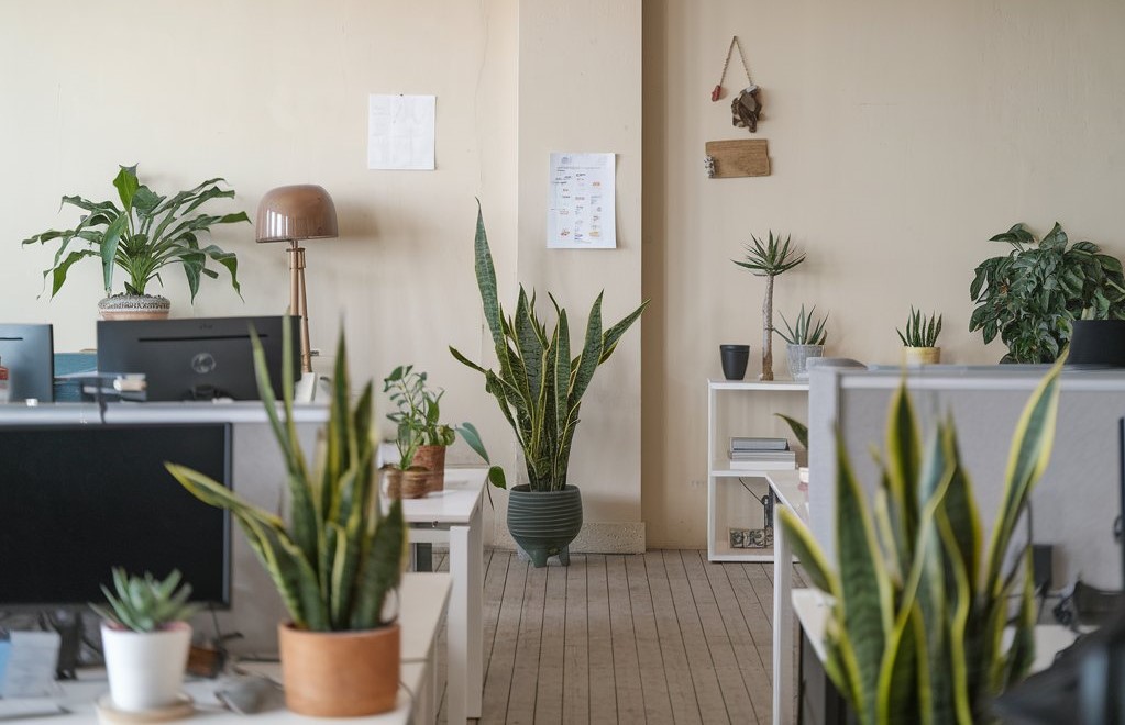 Comprehensive Office and Retail Cleaning Solutions - Ryak Cleaning